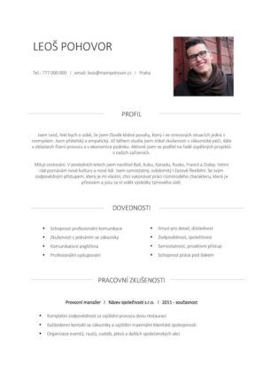 Jednoduchý životopis vzor - strukturovaný životopis 2024