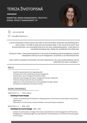 Vzory životopisů ve Wordu ke stažení zdarma