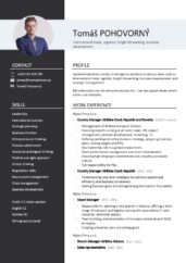 Vzory životopisů ve Wordu ke stažení zdarma