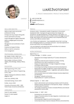 Vzory životopisů ve Wordu ke stažení zdarma