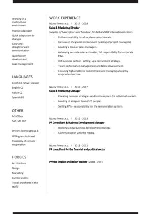 Životopis v angličtině vzor 2023 - moderní design + vyplněný text zdarma